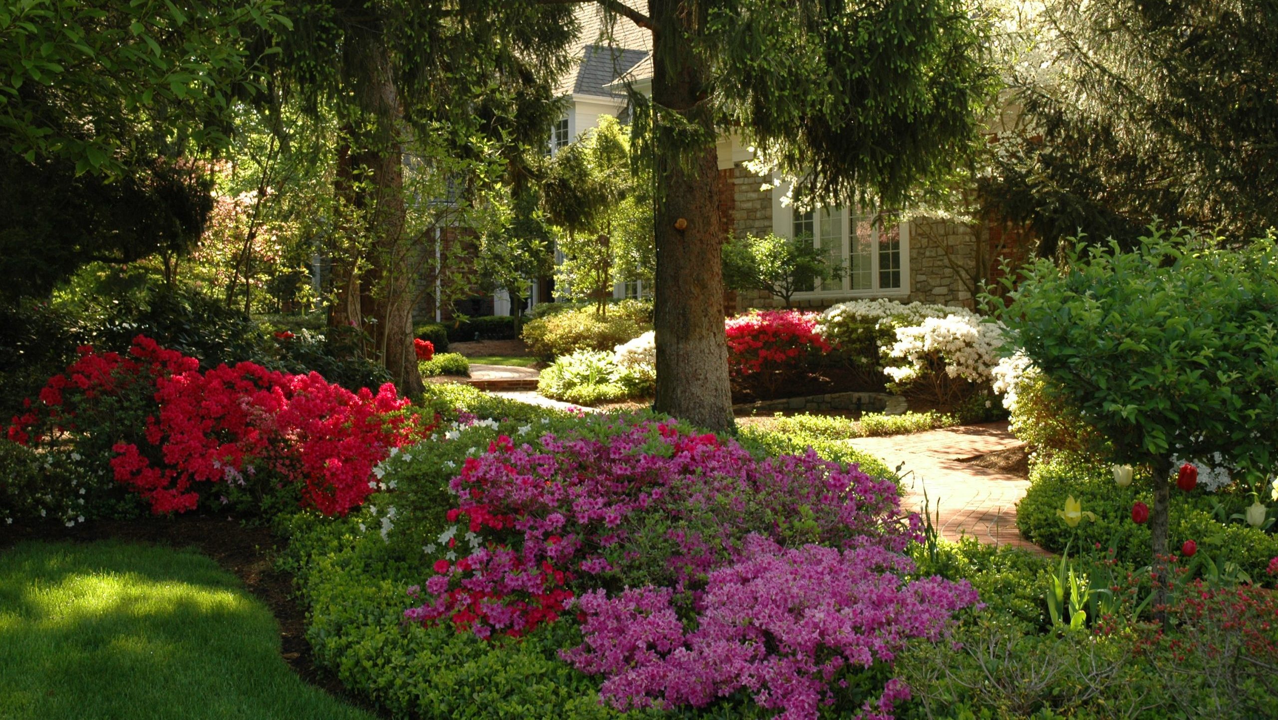 Landscape Design, Maintenance & Installation - Action Landscape