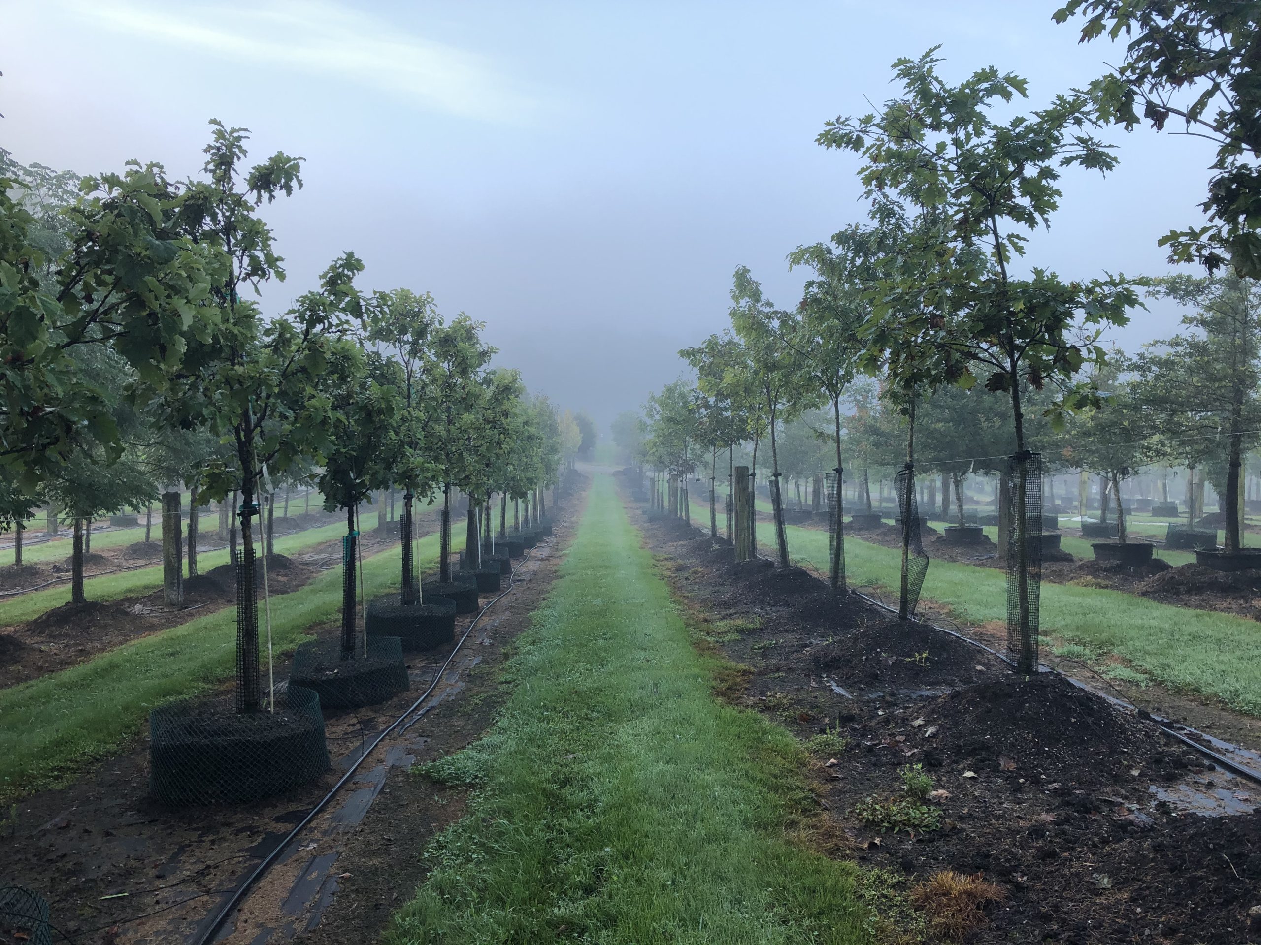 About Us - Action Landscape